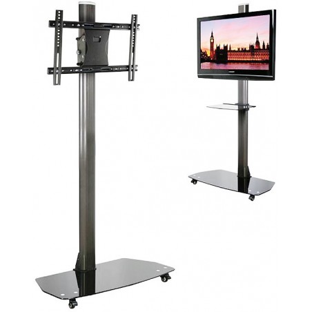 Support écran à roulette 55'