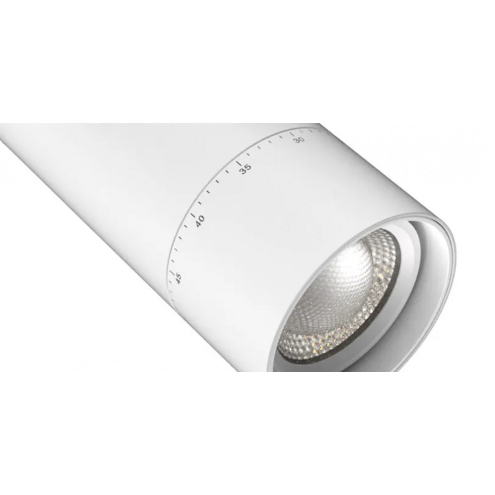 Spot LED Wild 30W CCT pour Rail Triphasé Dimmable TRIAC CRI90 No ...